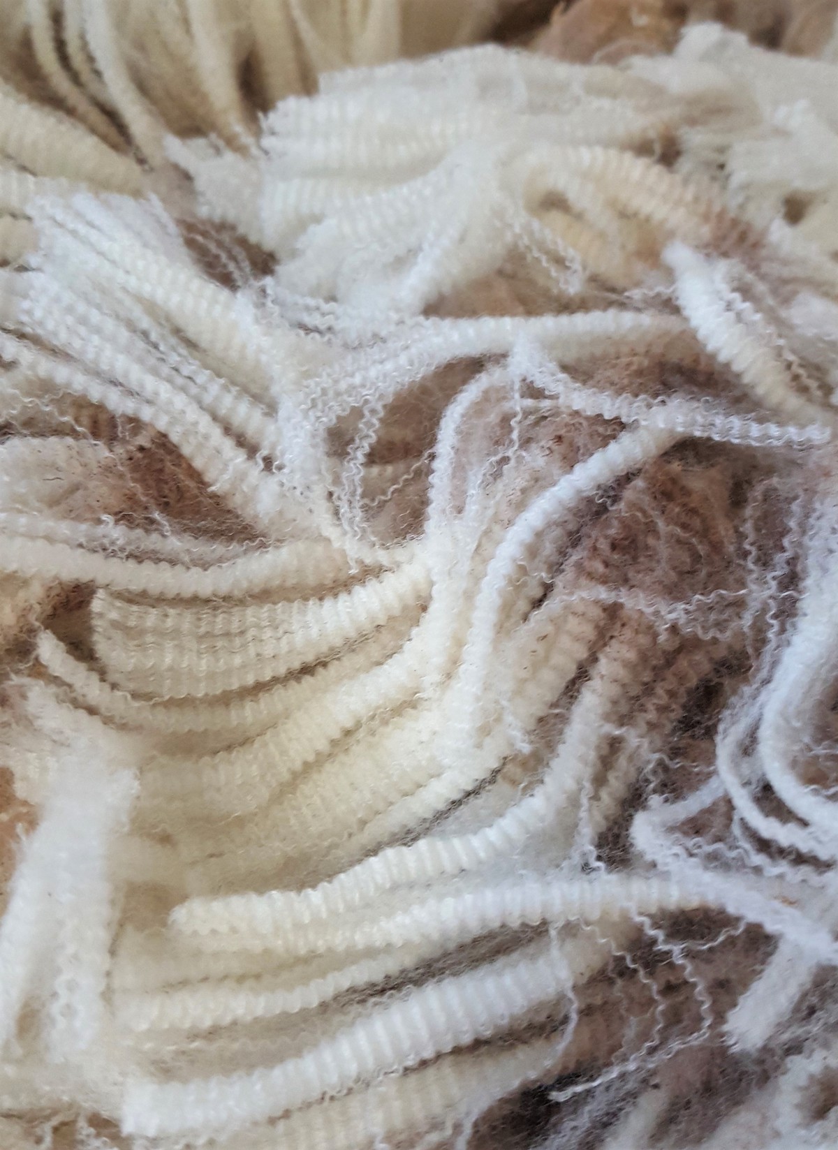 Wool Yarn - Segard Masurel