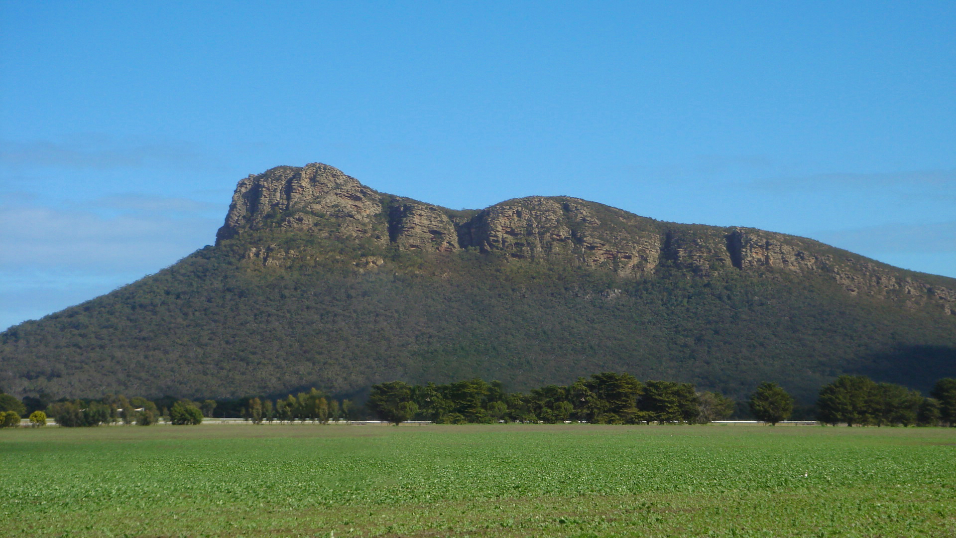 Discover the team of Segard Masurel The Grampians