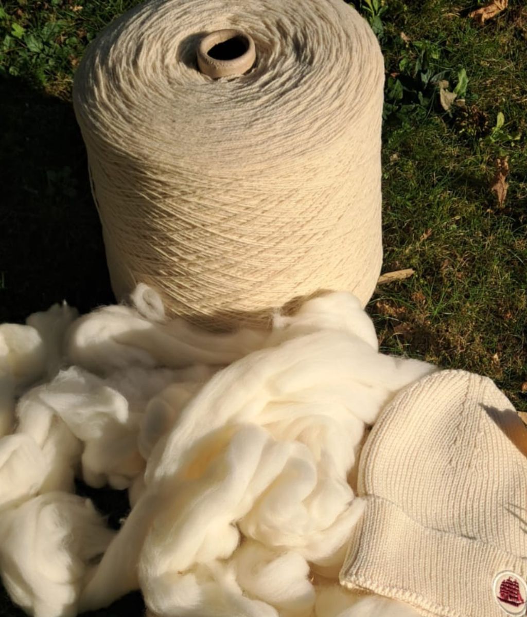 A naturally biodegradable textile fibre : Wool