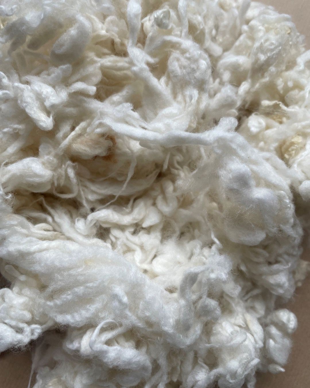 Wool, a naturally biodegradable textile fibre