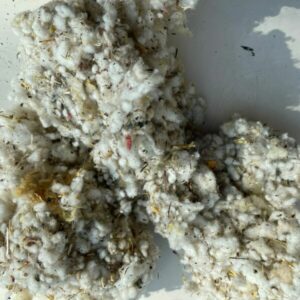 Burrs and Noils : what are they used for? - Segard Masurel