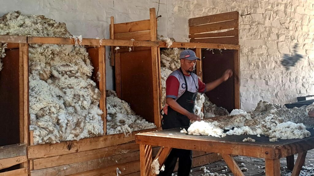 The role of wholesale wool supplier and trader - Segard Masurel