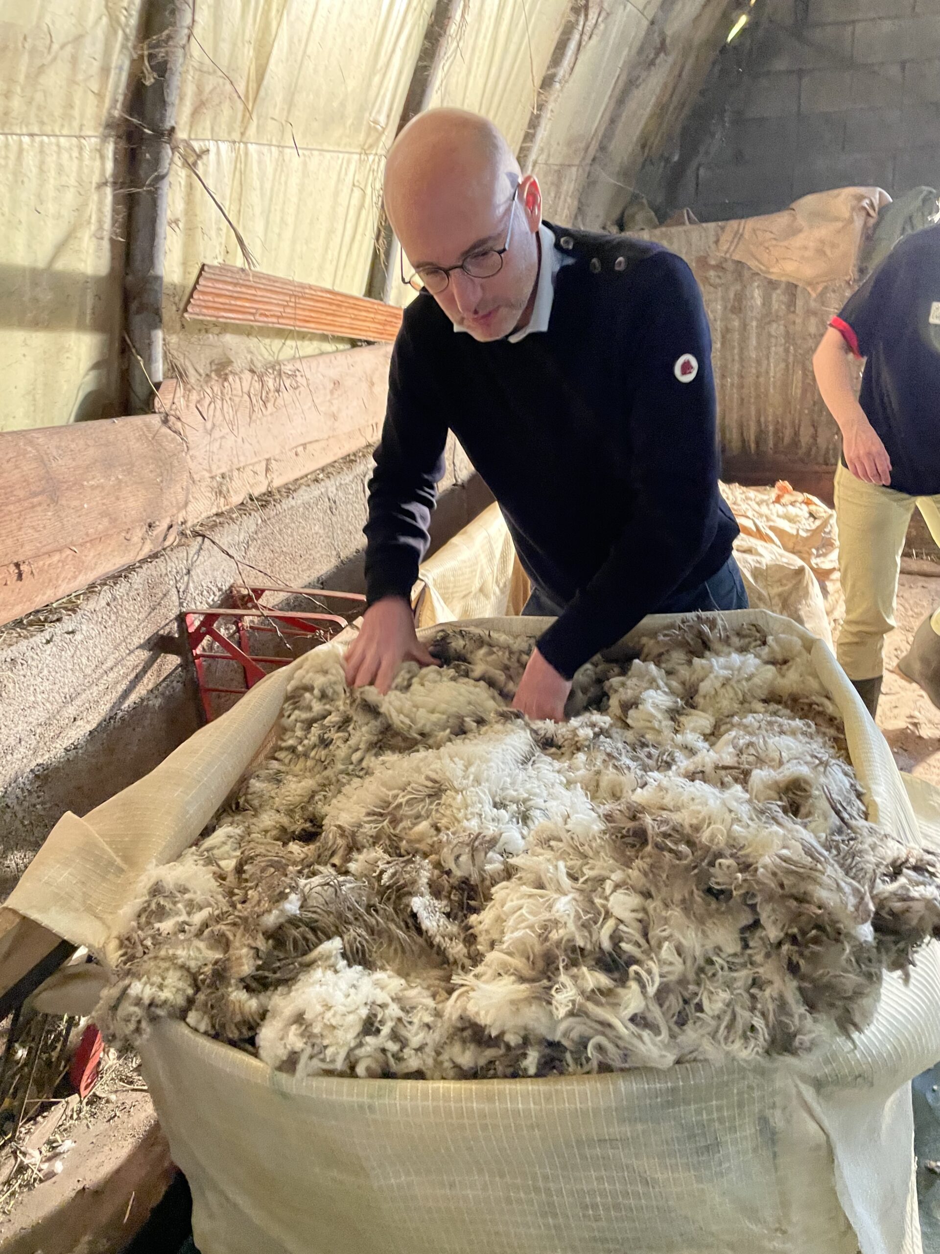 The role of wholesale wool supplier and trader - Segard Masurel